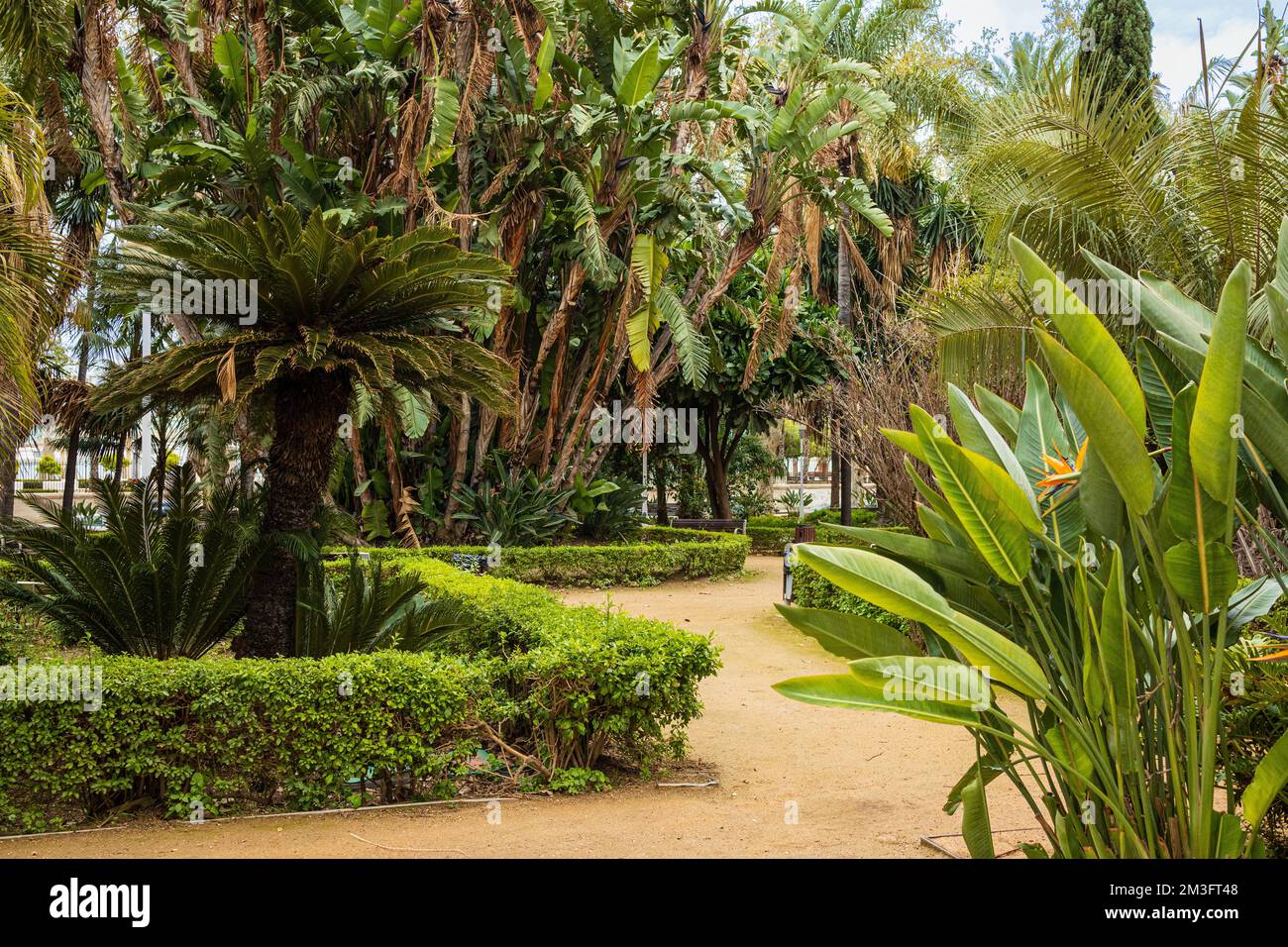 Flora de la costa hi-res stock photography and images - Alamy