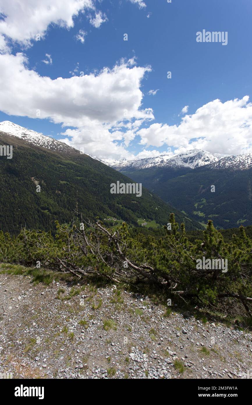 A landscape in Bormio area during a summer trekking Stock Photo - Alamy