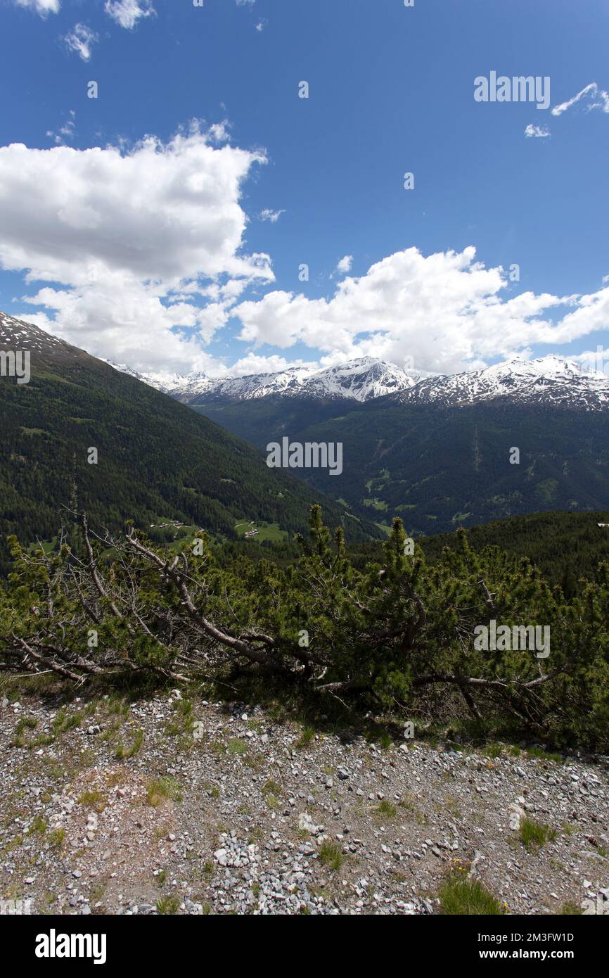 A landscape in Bormio area during a summer trekking Stock Photo - Alamy