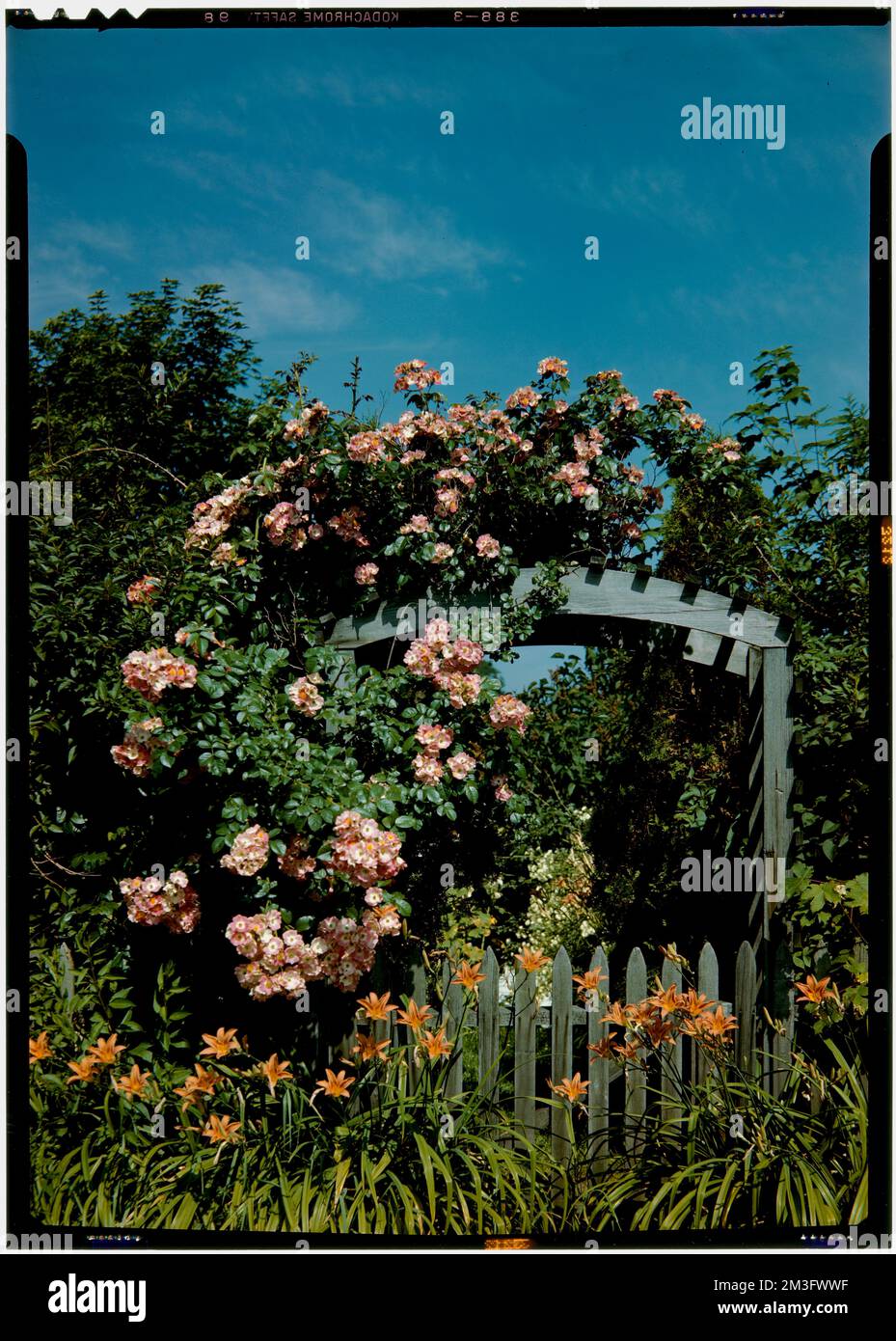 Marblehead, Rose Arbor - 31 Front, flowers , Gardens, Arbors Bowers ...