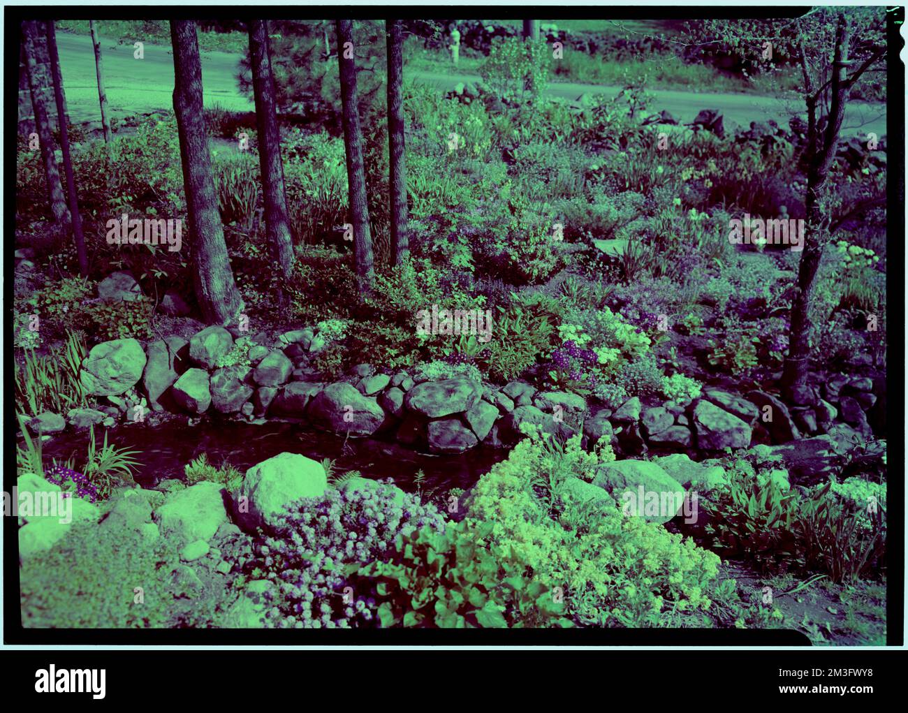 Marblehead, Roadside Rock Garden, flowers , Gardens. Samuel Chamberlain ...