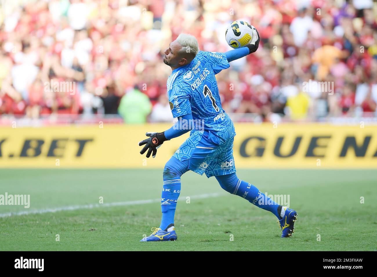 Rio de Janeiro, Brazil, November 12, 2022. Soccer goalkeeper Diego ...