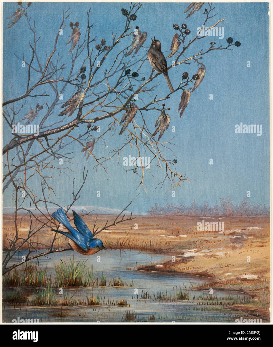March , Birds, Trees, Bodies of water. Louis Prang & Company Collection ...