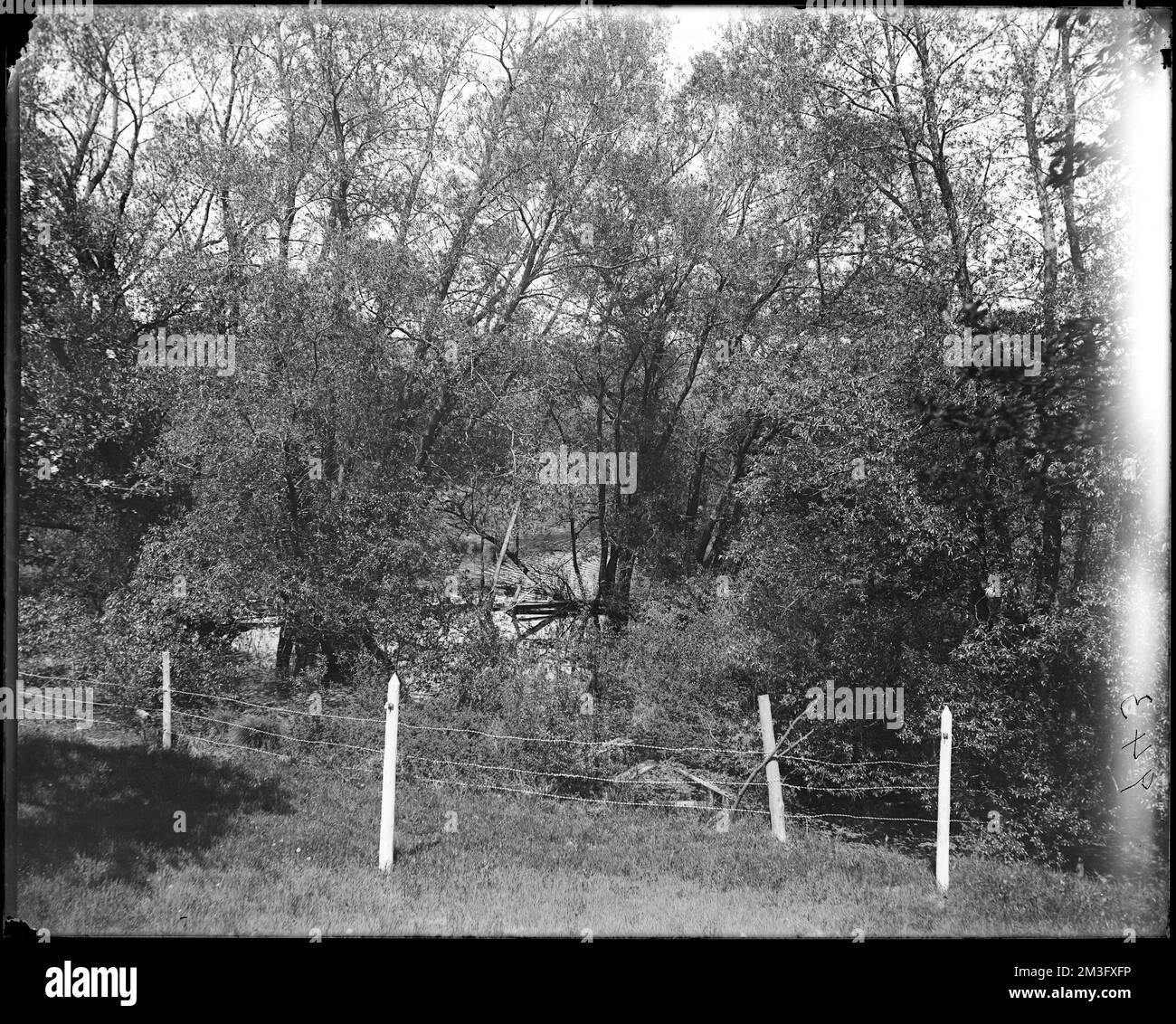 Marblehead-Swampscott road, Judge Osgood place, views , Roads, Trees ...
