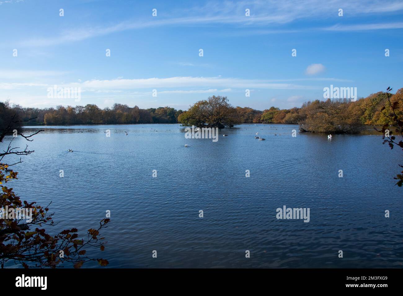 Brasside pond hi-res stock photography and images - Alamy