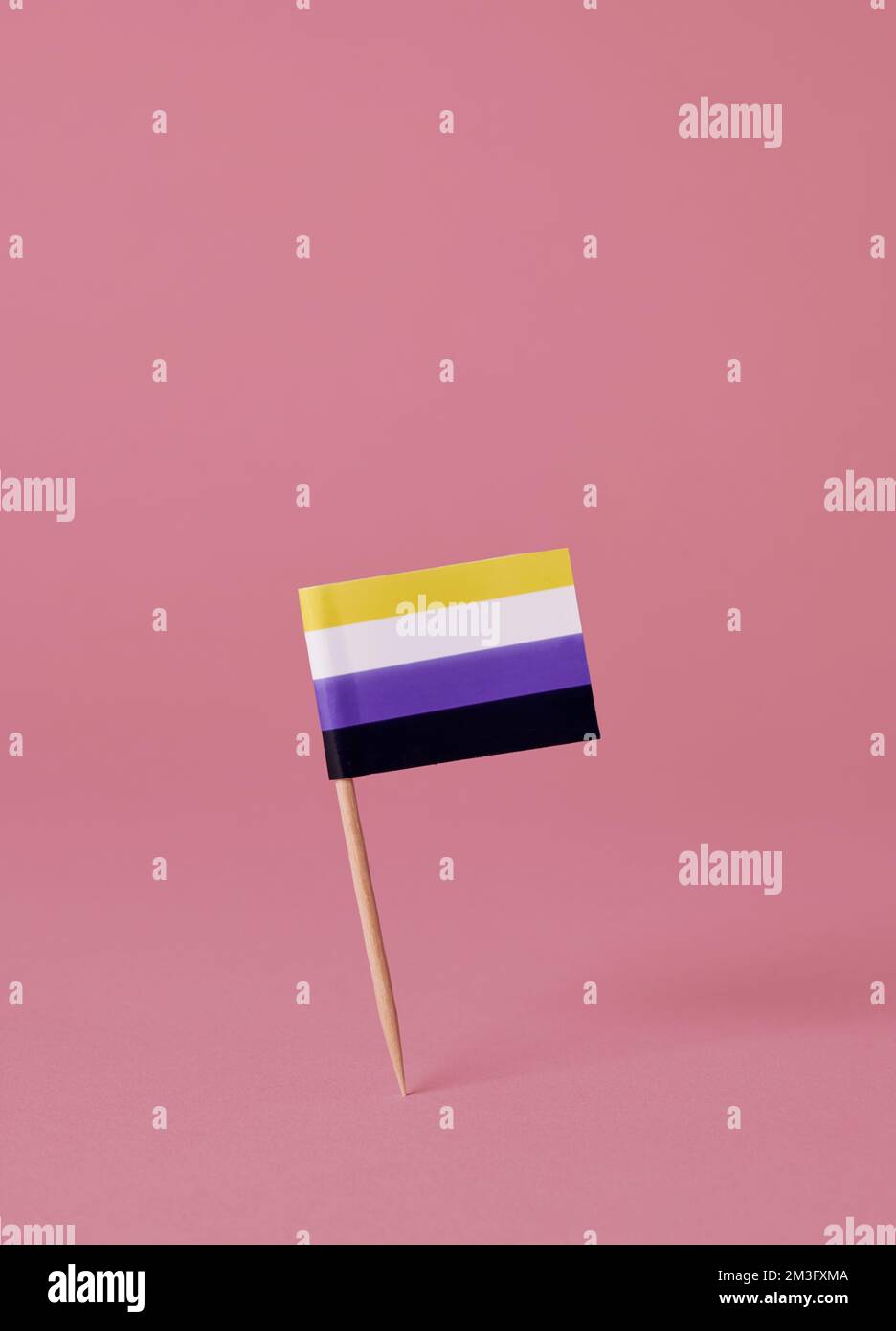 a non-binary pride flag attached to a wooden pole standing on a pink ...