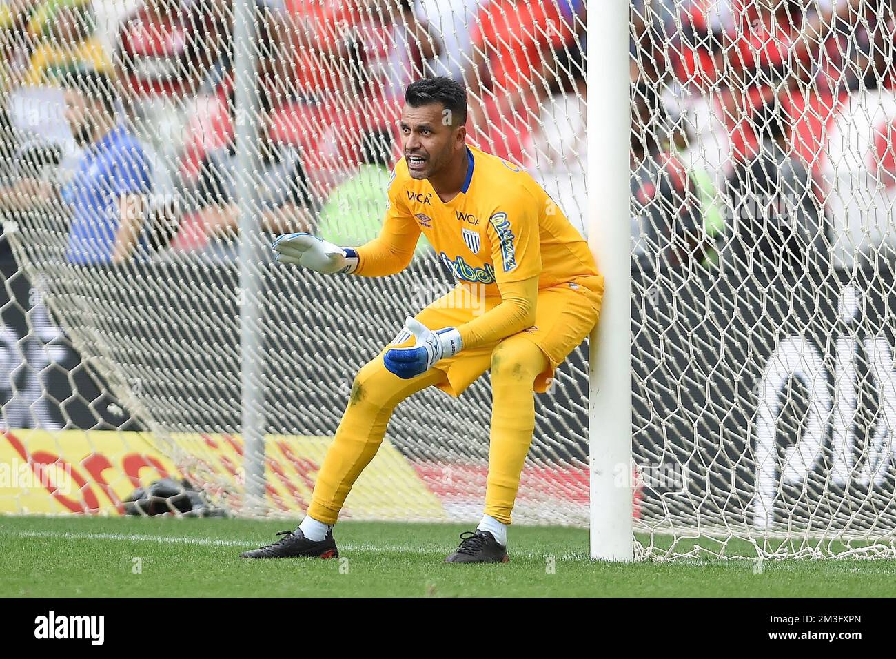 Rio de Janeiro, Brazil, November 12, 2022. Football goalkeeper Gledson ...