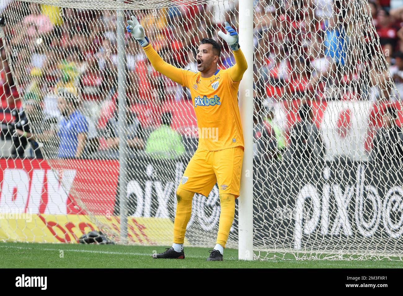 Rio de Janeiro, Brazil, November 12, 2022. Football goalkeeper Gledson ...