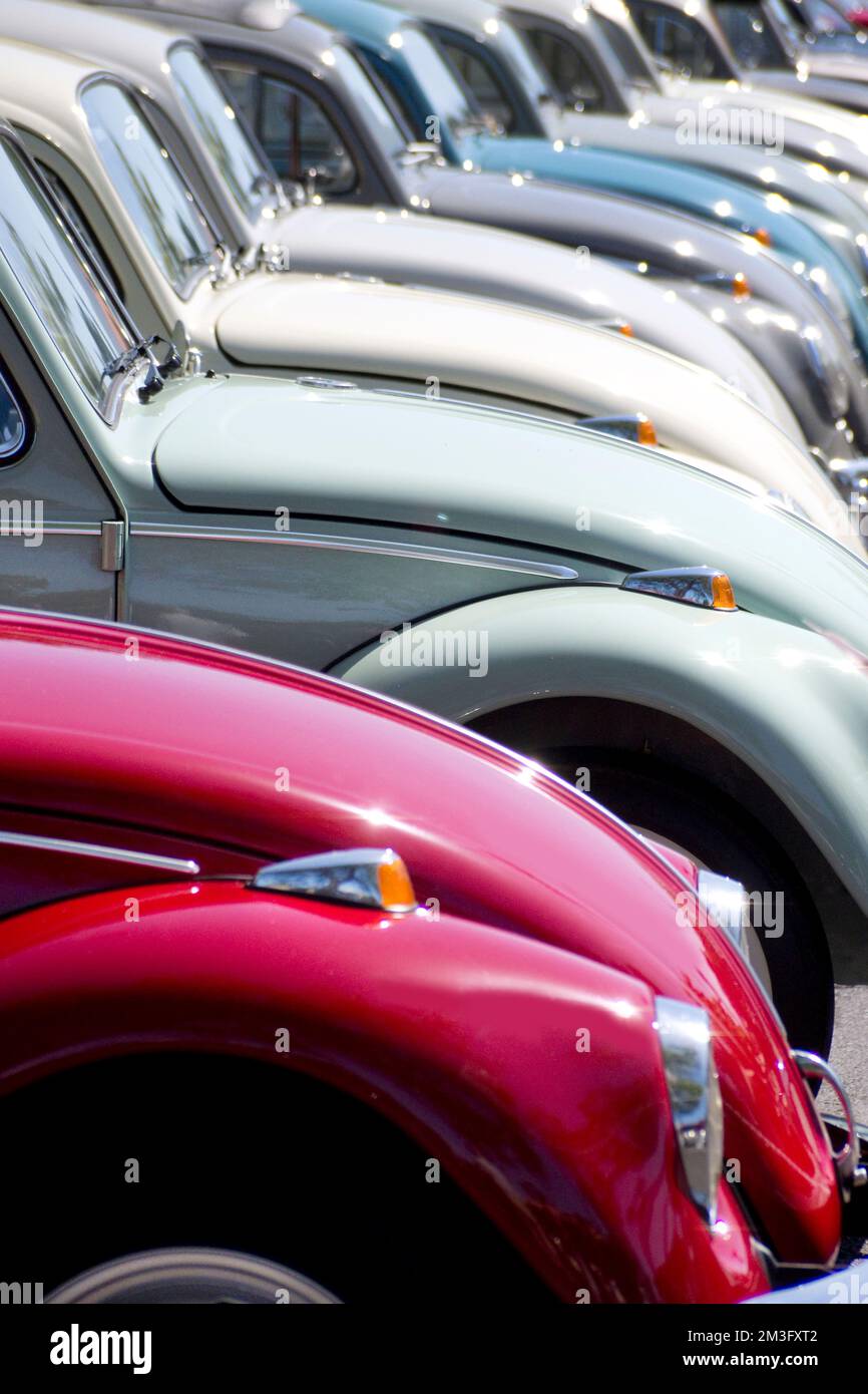 VW Beetle display Stock Photo - Alamy