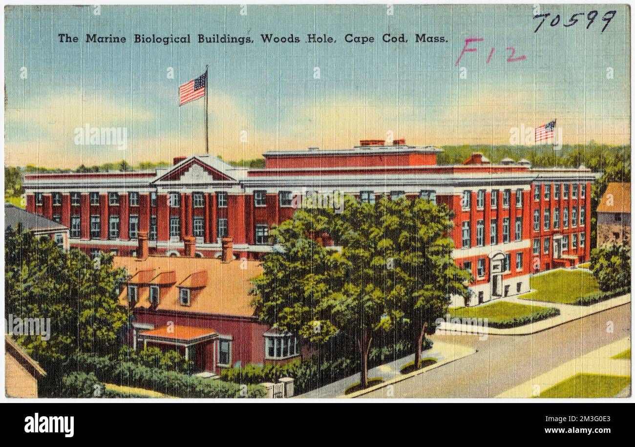 The Marine Biological buildings, Woods Hole, Cape Cod, Mass. , Research ...