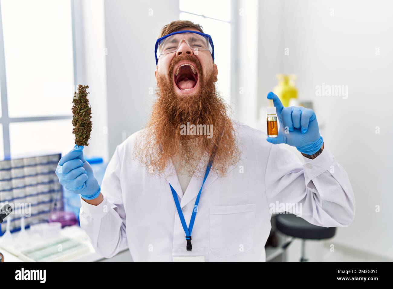Redhead man with long beard working at scientist laboratory holding ...