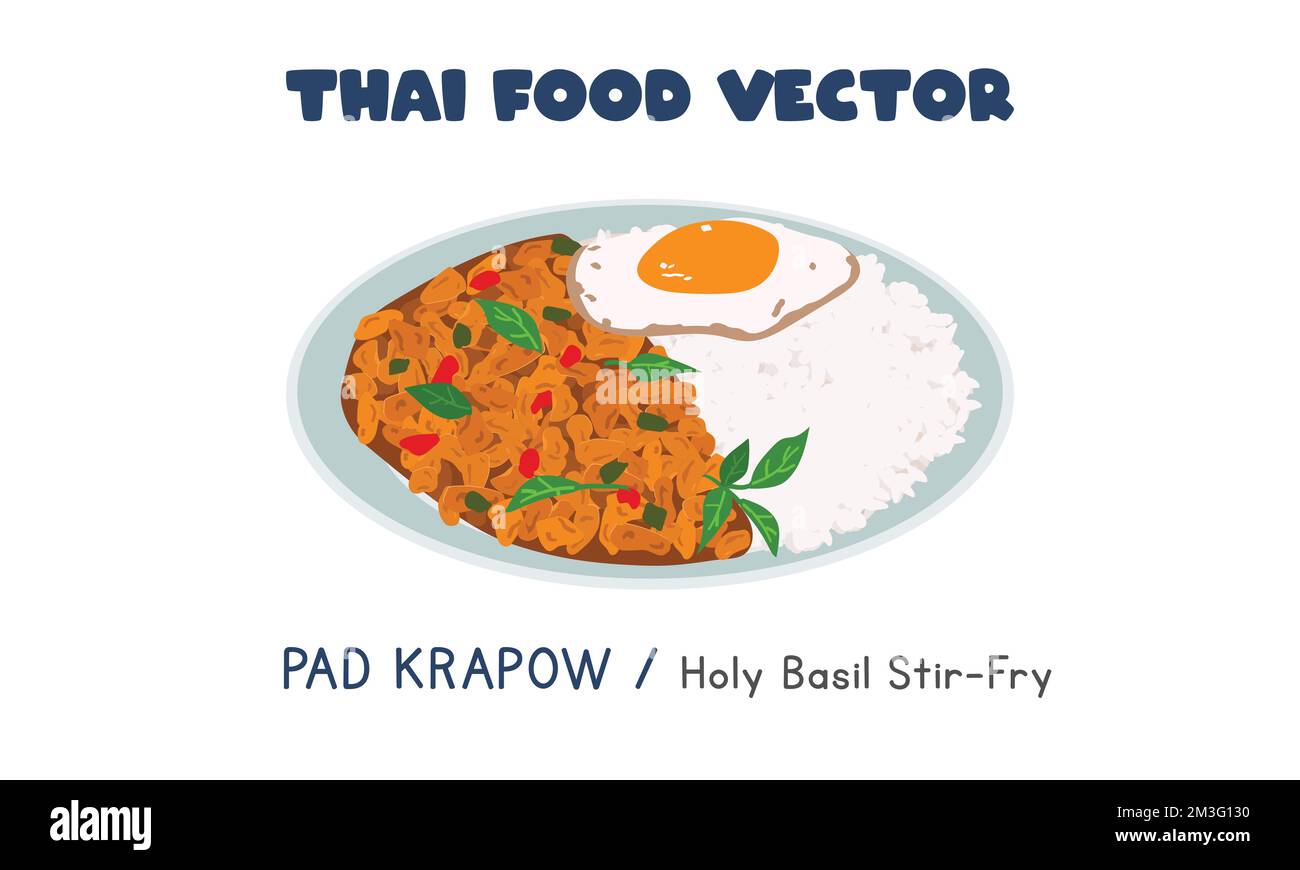Thai Pad Krapow Gai - Thai Holy Basil Chicken Stir-Fry flat vector ...