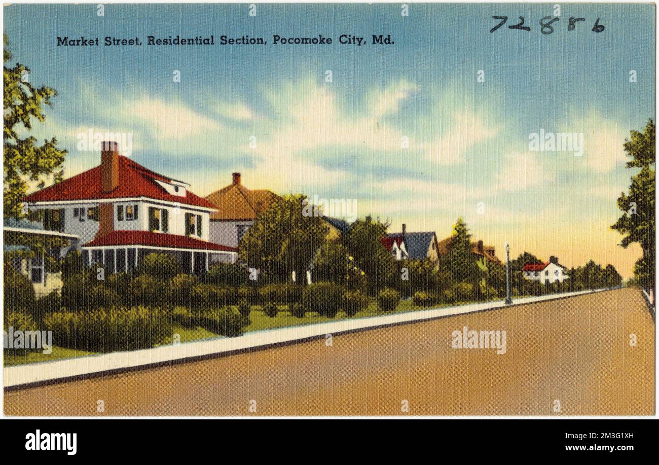 Market Street, Residential Section, Pocomoke City, Md. , Cities & towns ...