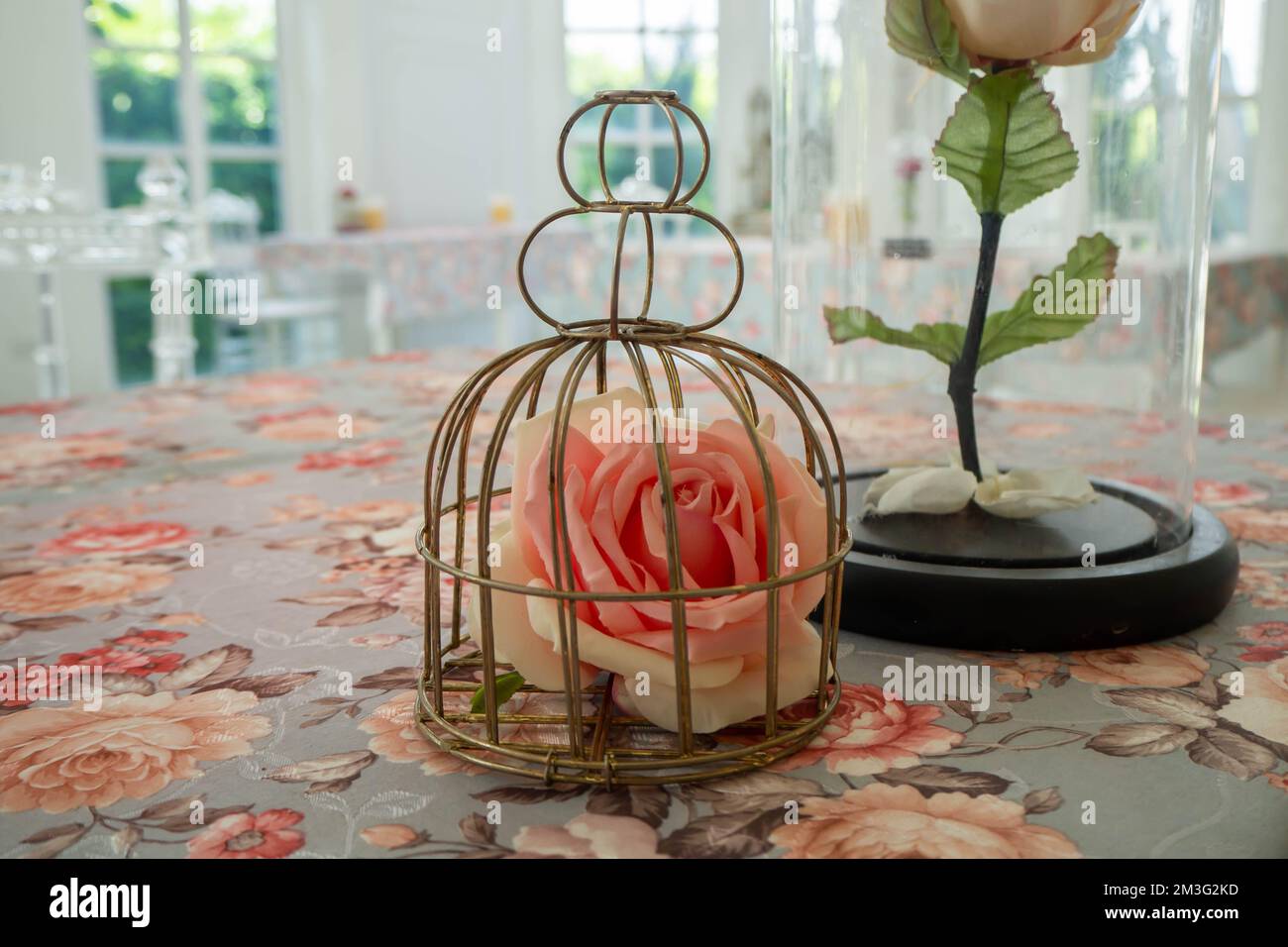 Pink rose in a cage Stock Photo - Alamy