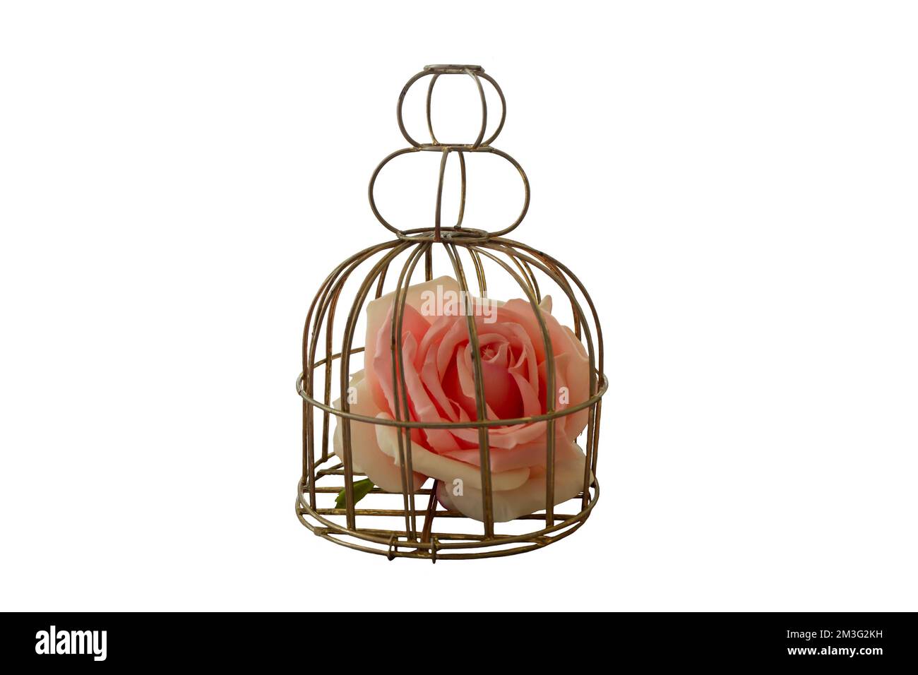 Decorative white cages Cut Out Stock Images & Pictures - Alamy