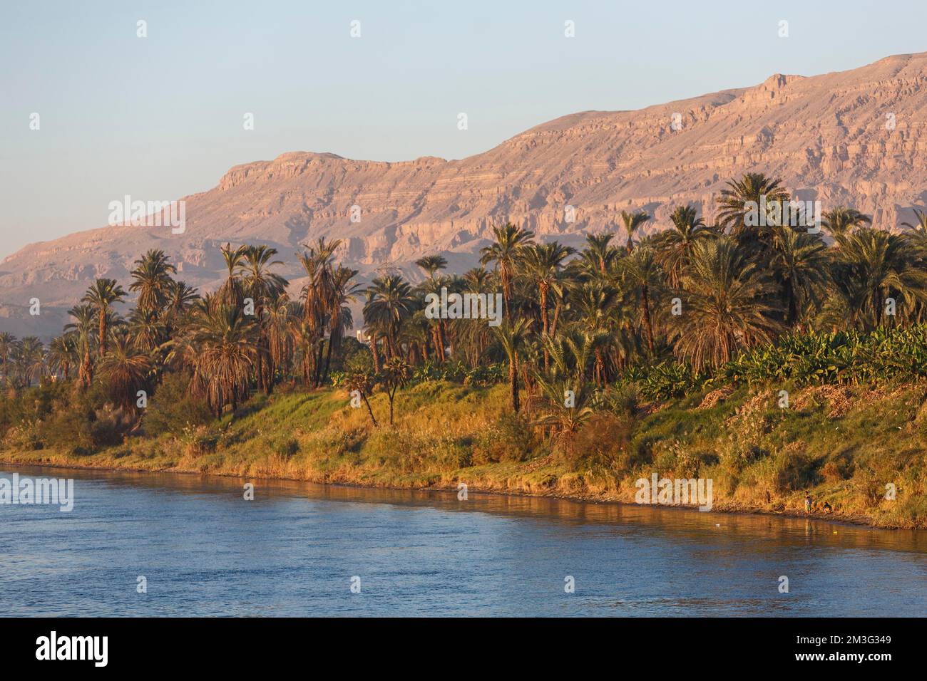 Egypt nile river desert tree hi-res stock photography and images - Alamy