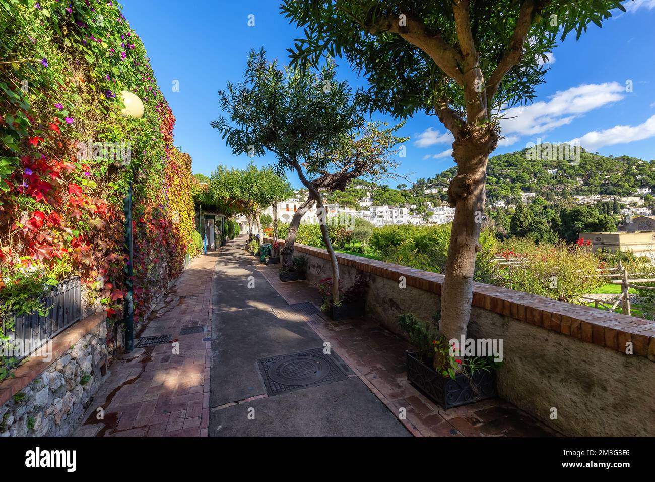 Path in a Garden with trees and flowers. Capri Island, Italy Stock ...