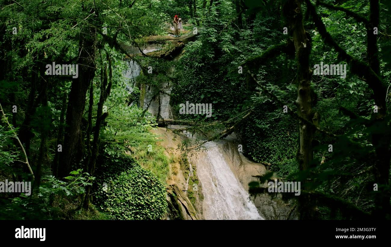 Stunning view of the waterfall in jungles. Creative. Green trees and ...