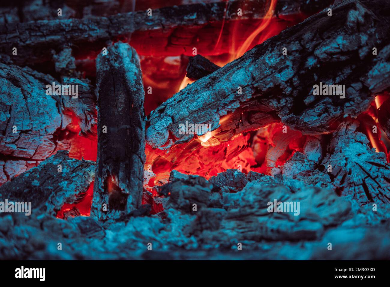 Charcoal and logs covered with ash burning with bright red fire in ...