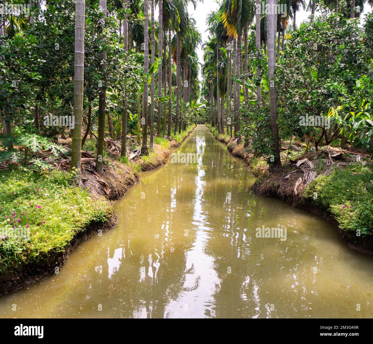 Surrounded on both sides hi-res stock photography and images - Alamy