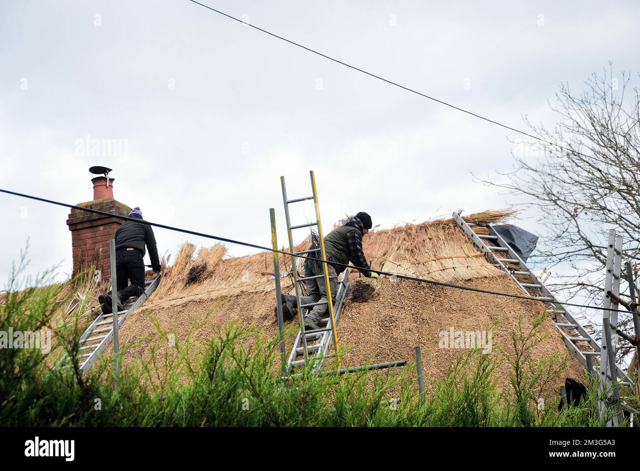 Two thatchers hi-res stock photography and images - Alamy