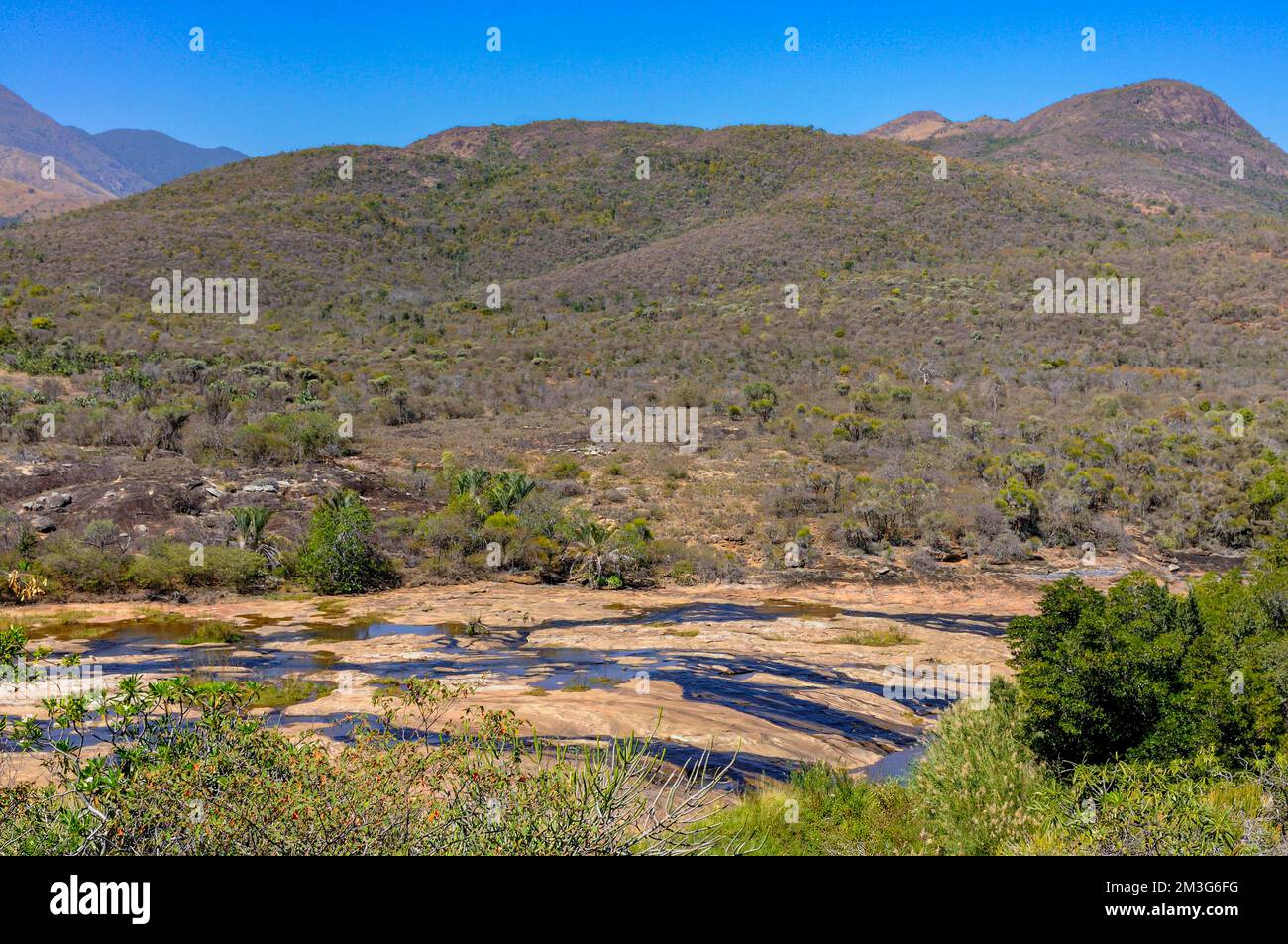 A view over the transitional forest of Andohahela National Park ...