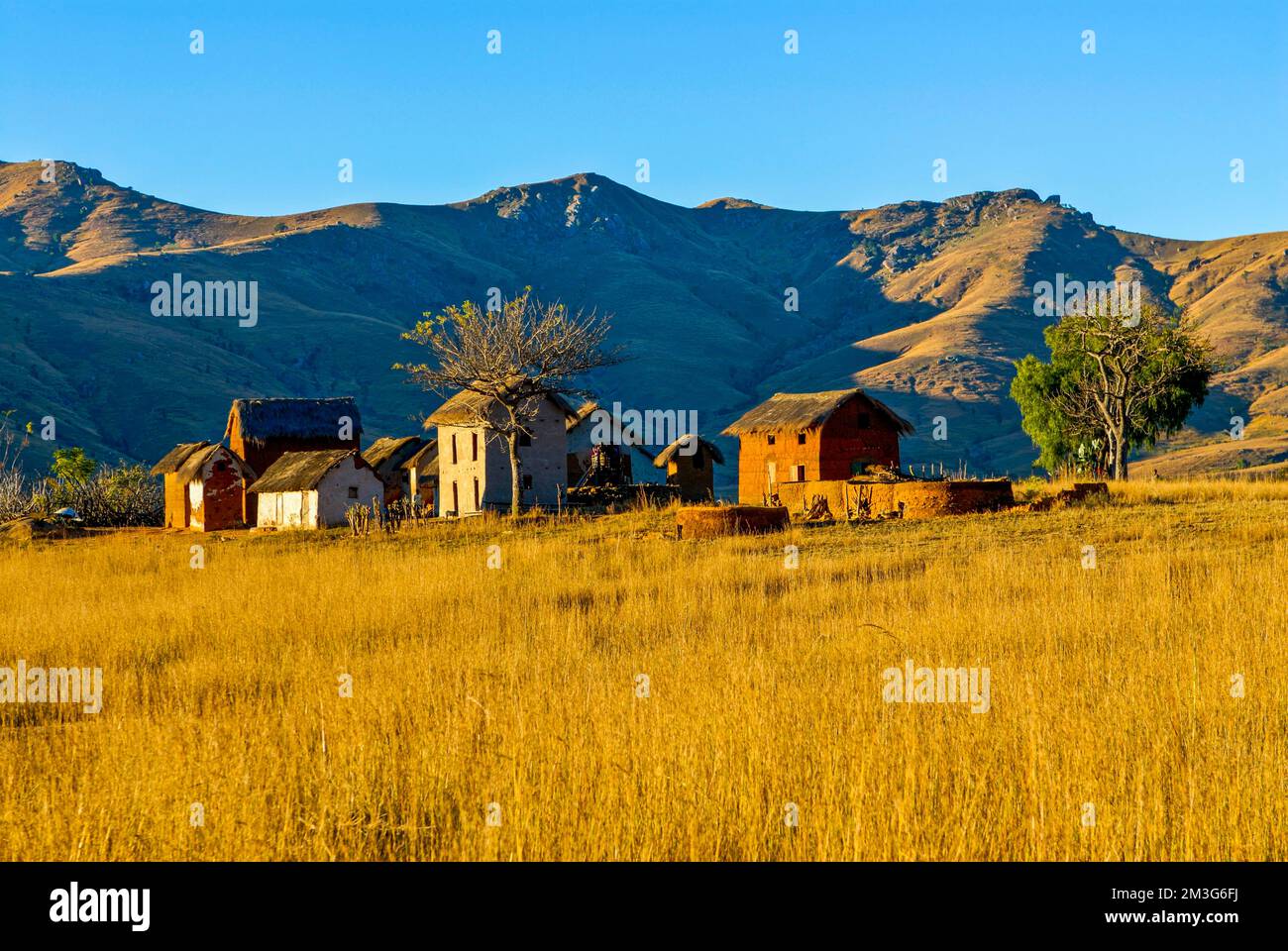 Traditional houses in the Andringitra National Park, Madagascar Stock ...