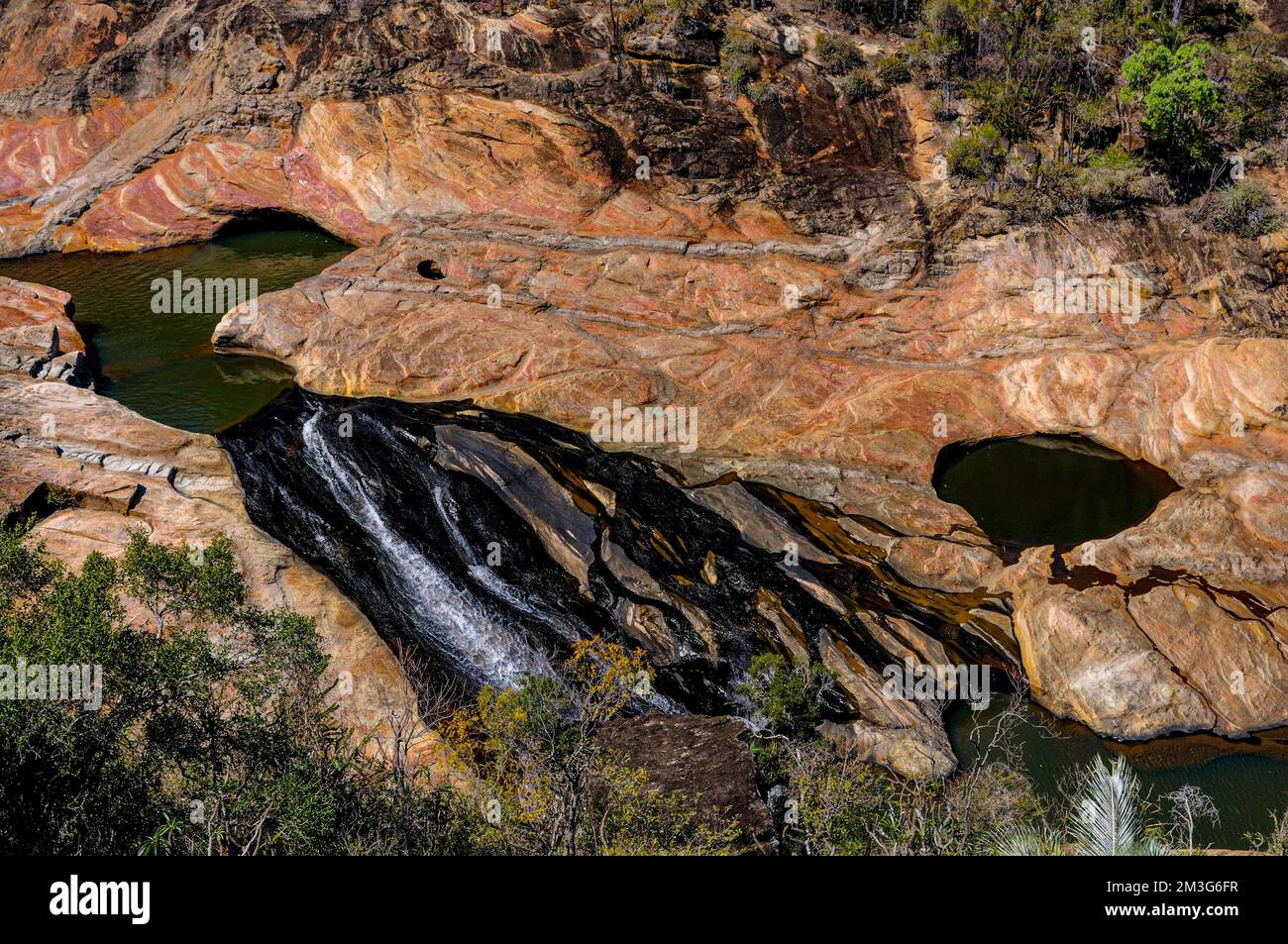 Madagascan national park hi-res stock photography and images - Alamy