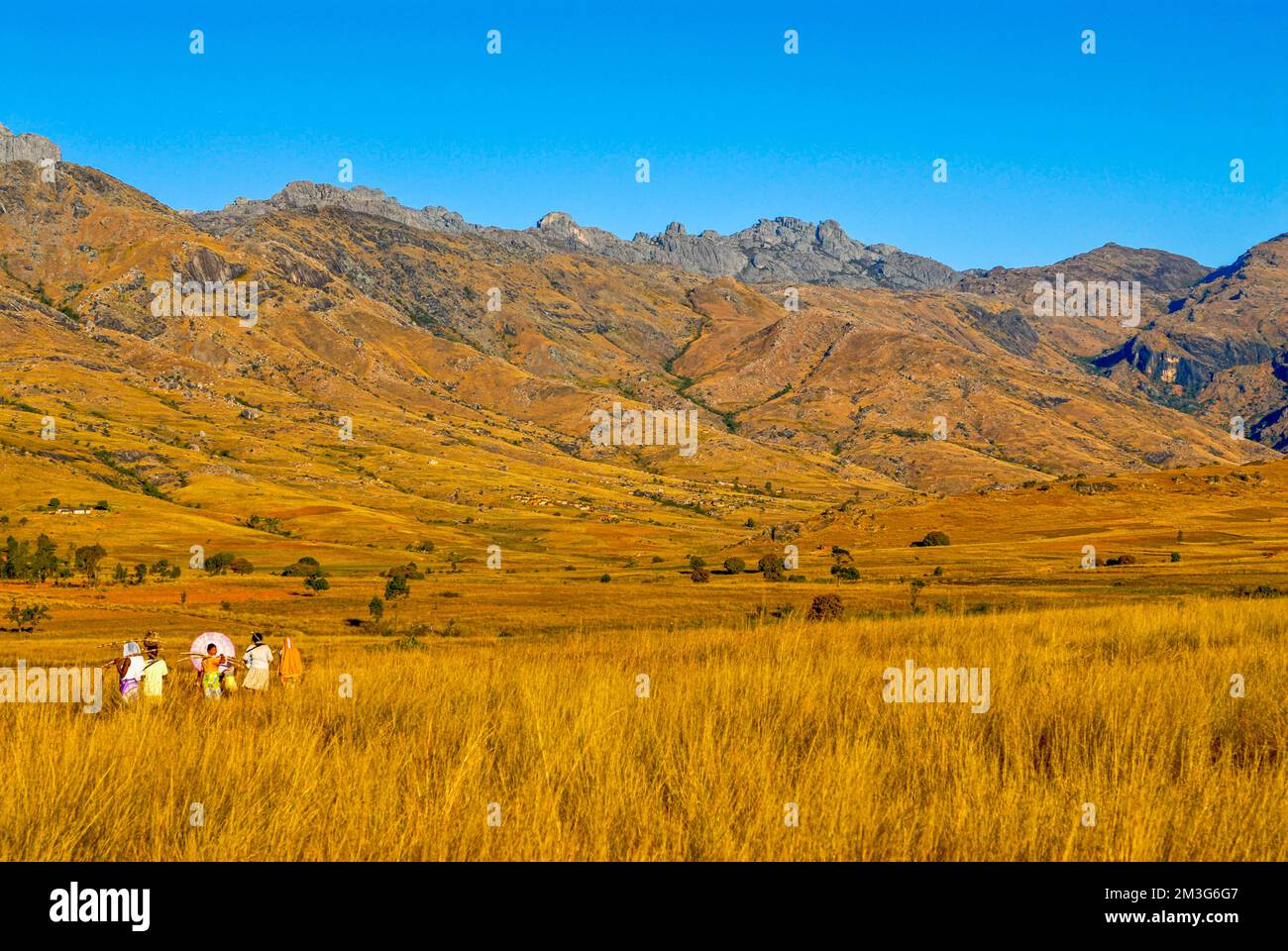 Andringitra National Park, Madagascar, Indian Ocean Stock Photo - Alamy