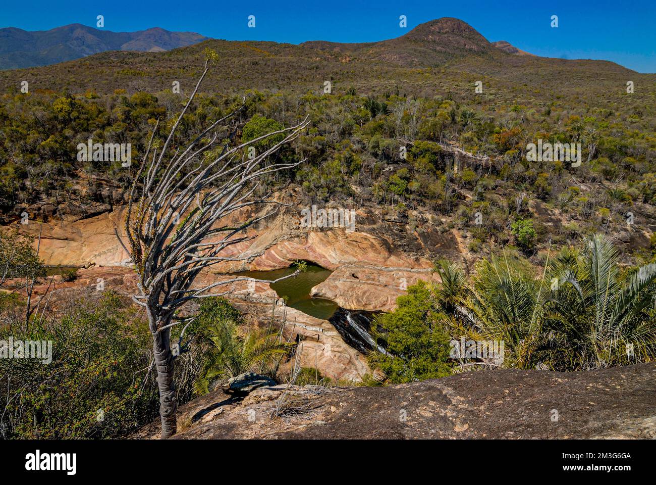A view over the transitional forest of Andohahela National Park ...