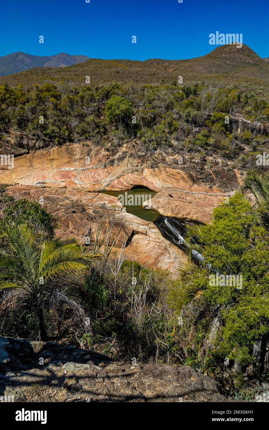 A view over the transitional forest of Andohahela National Park ...
