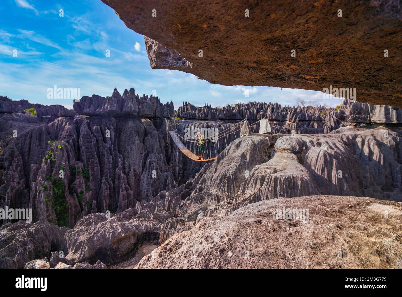 Hanging bridge, Unesco world heritage sight Tsingy de Bemaraha Strict ...