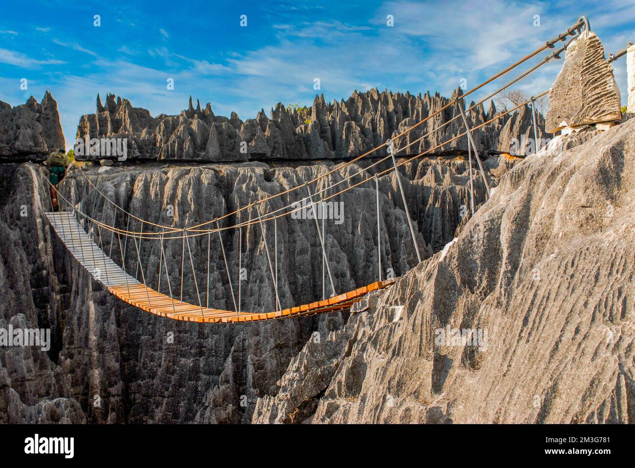 Hanging bridge over the Tsingys in the Unesco world heritage sight ...