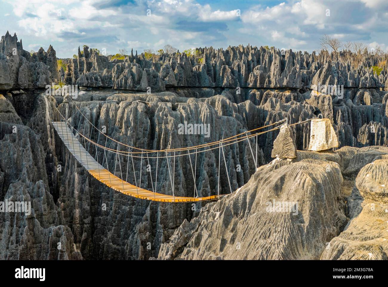Hanging bridge over the Tsingys in the Unesco world heritage sight ...
