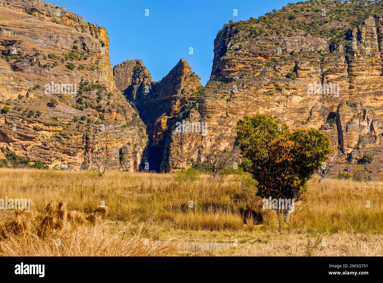 Savannah in the Isalo National Park, Madagascar, Indian Ocean Stock ...