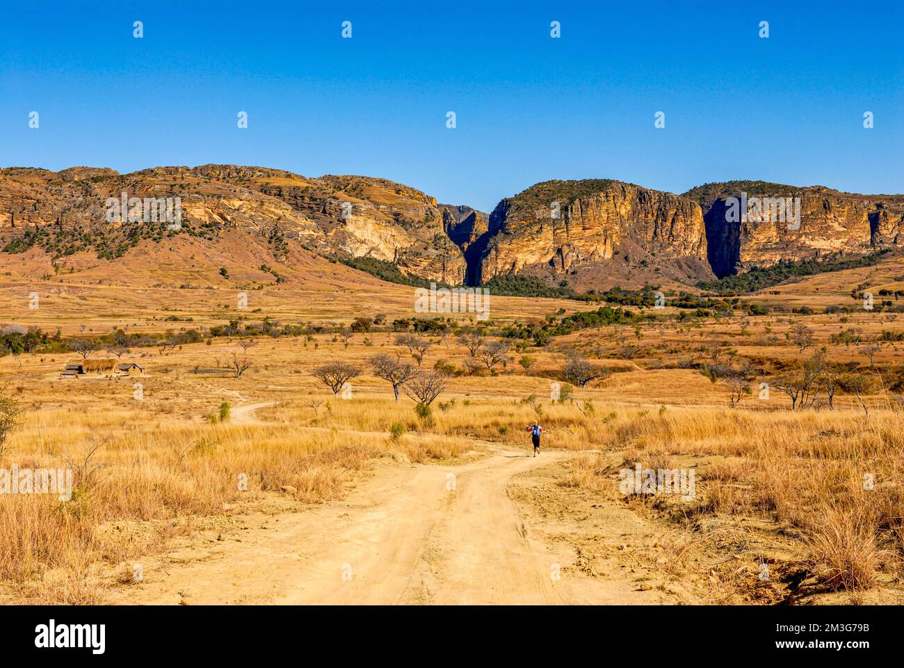 Road going through the Isalo National Park, Madagascar, Indian Ocean ...