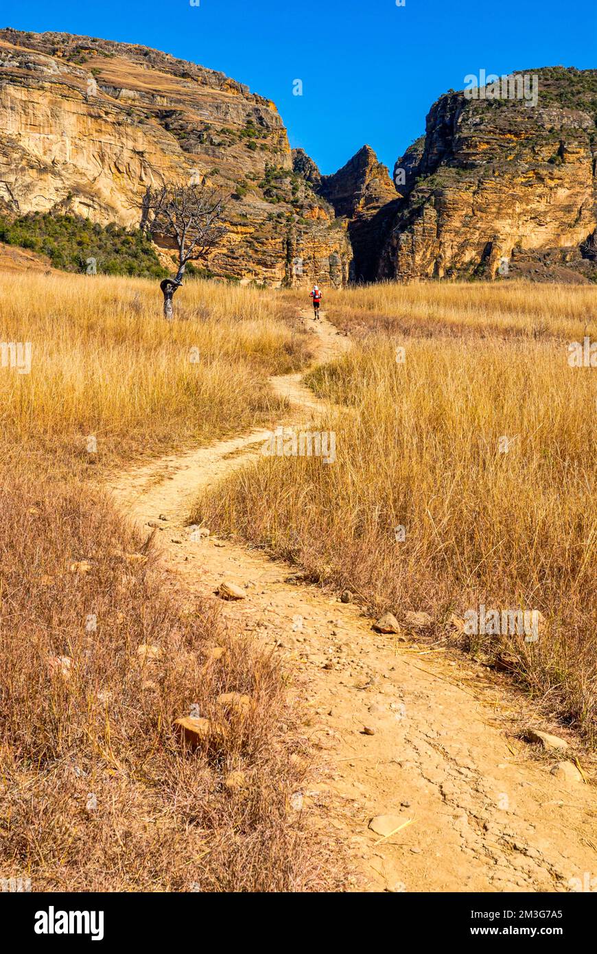 Trekker on a road going through the Isalo National Park, Madagascar ...