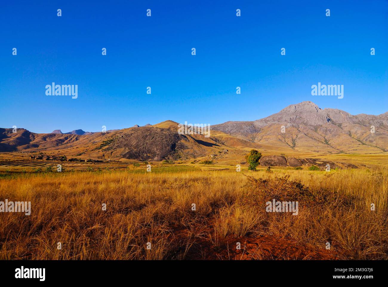 Andringitra National Park, Madagascar, Indian Ocean Stock Photo - Alamy