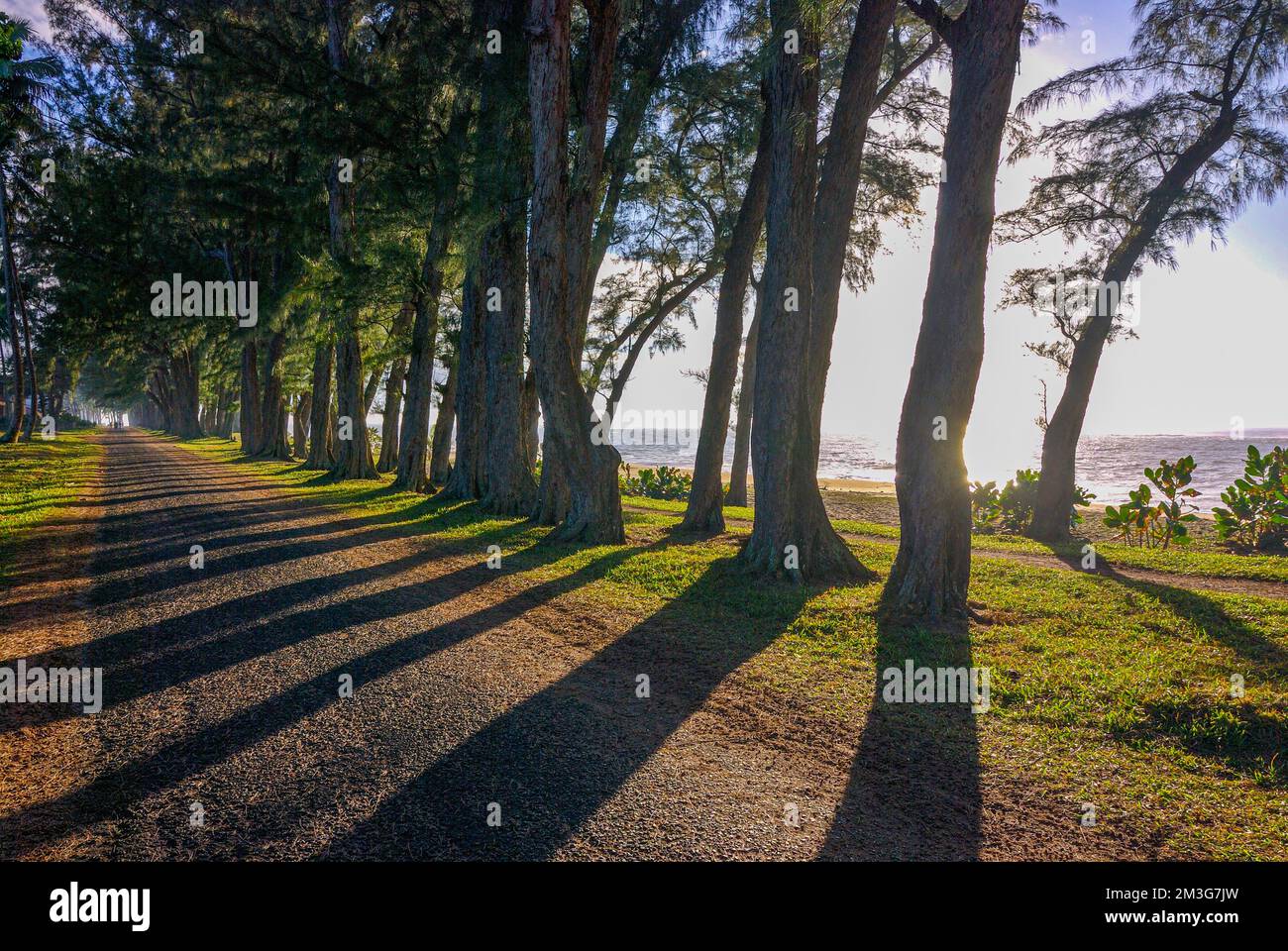 Manakara on the east coast of Madagascar Stock Photo - Alamy