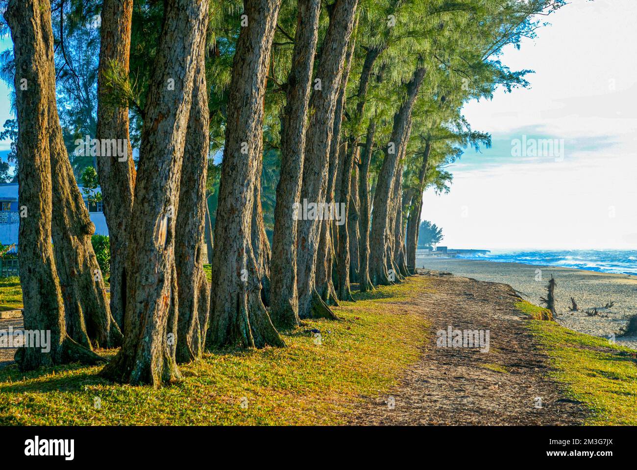 Fianarantsoa to manakara madagascar hi-res stock photography and images ...