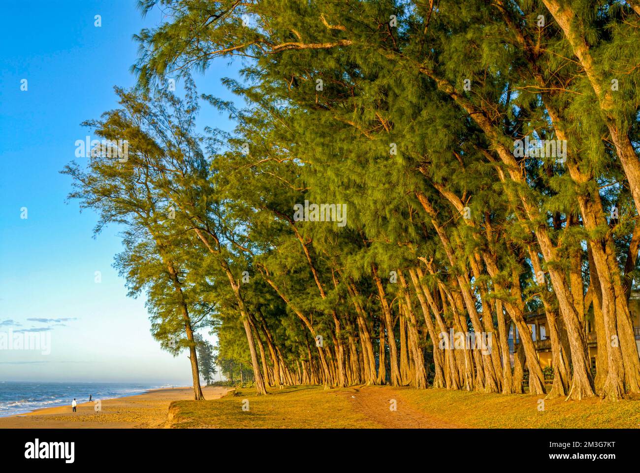 Long sandy beach in Manakara on the east coast of Madagascar Stock ...