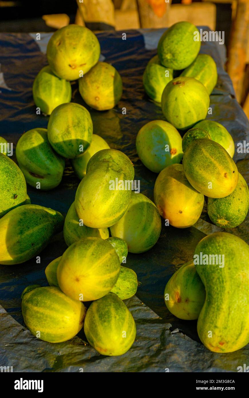 Green cucumbers for sale at a market, along the road between Antanarivo ...