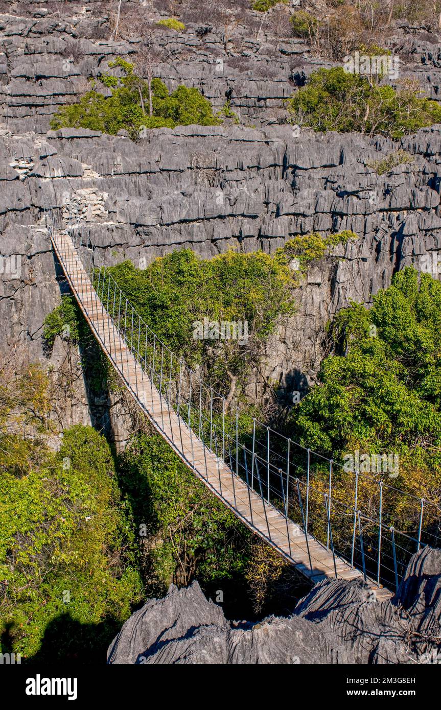 Hanging bridge in the Tsingy plateau in the Ankarana Special Reserve ...