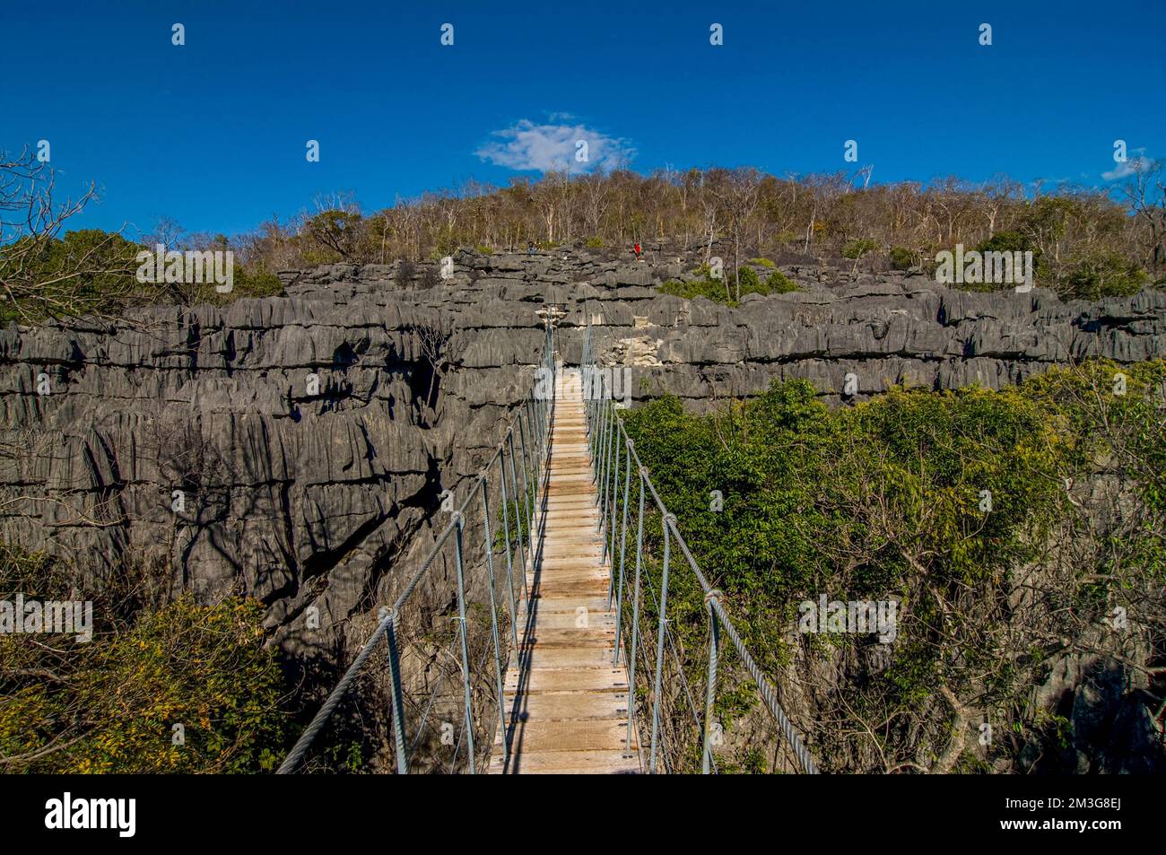 Hanging bridge in the Tsingy plateau in the Ankarana Special Reserve ...