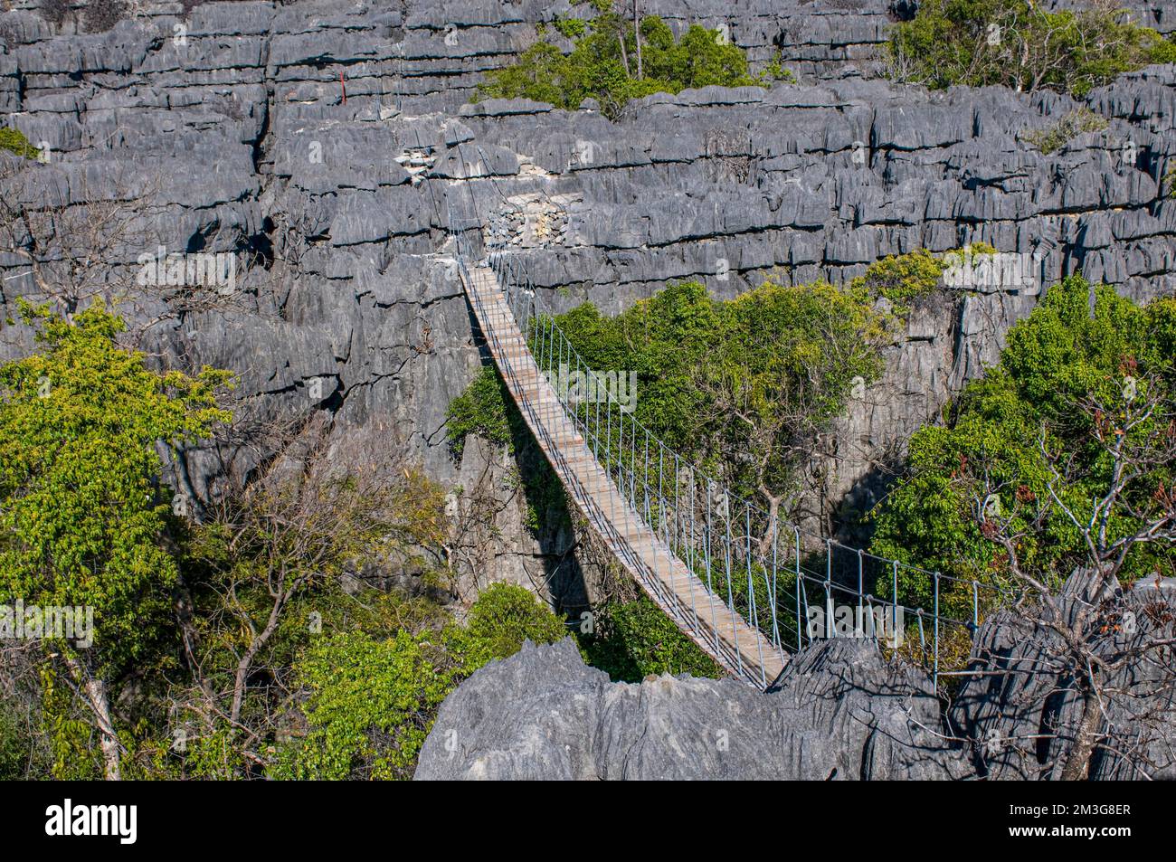 Hanging bridge in the Tsingy plateau in the Ankarana Special Reserve ...