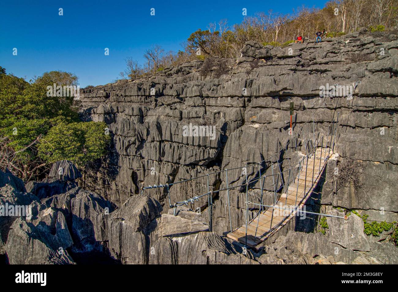 Hanging bridge in the Tsingy plateau in the Ankarana Special Reserve ...