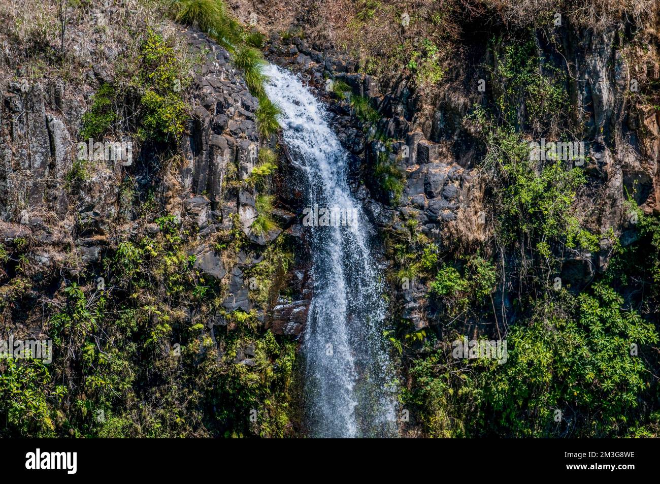 Waterfall in the Montagne dÂ´Ambre National Park, Madagascar Stock ...