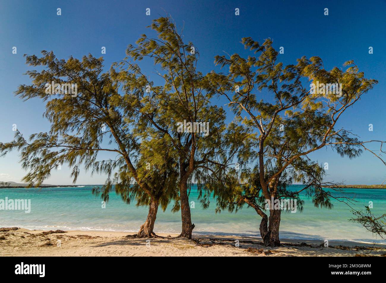 White sand beach near Diego Suarez, Antsiranana, northern Madagascar ...