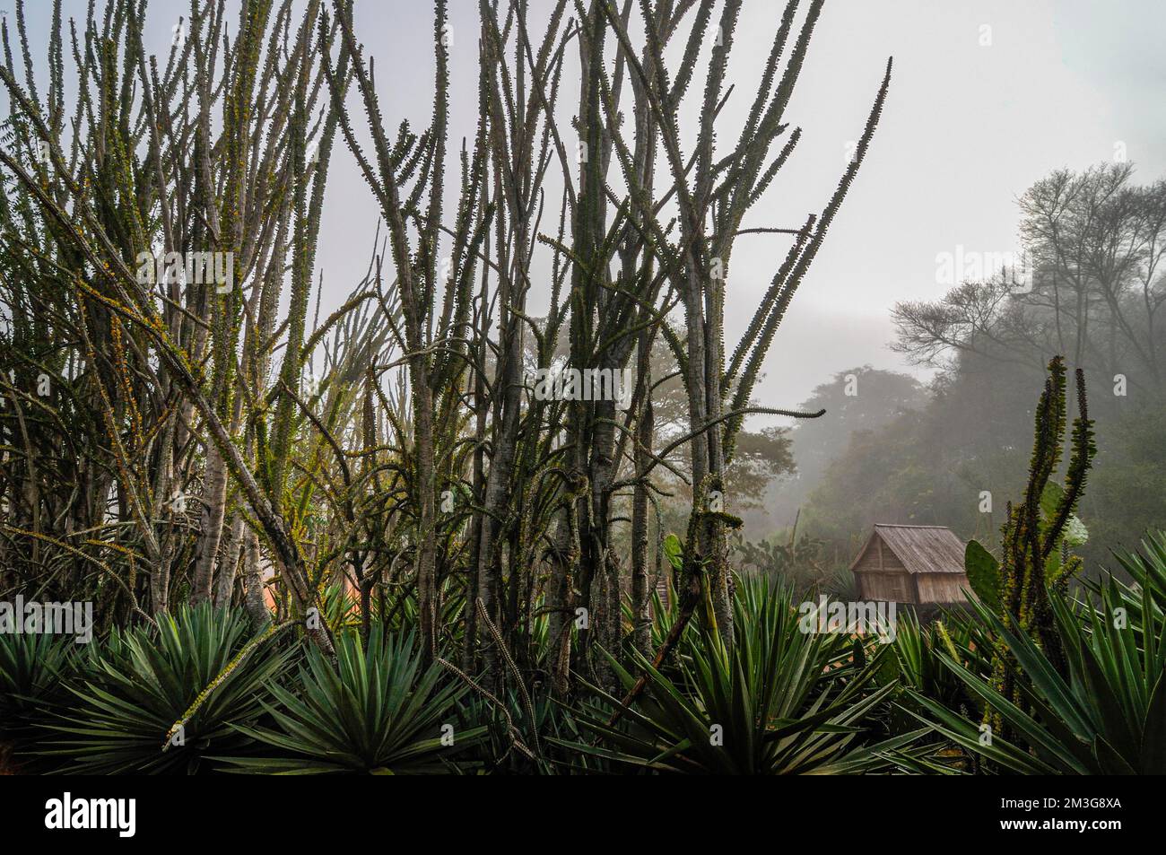 Private forest reserve hi-res stock photography and images - Alamy