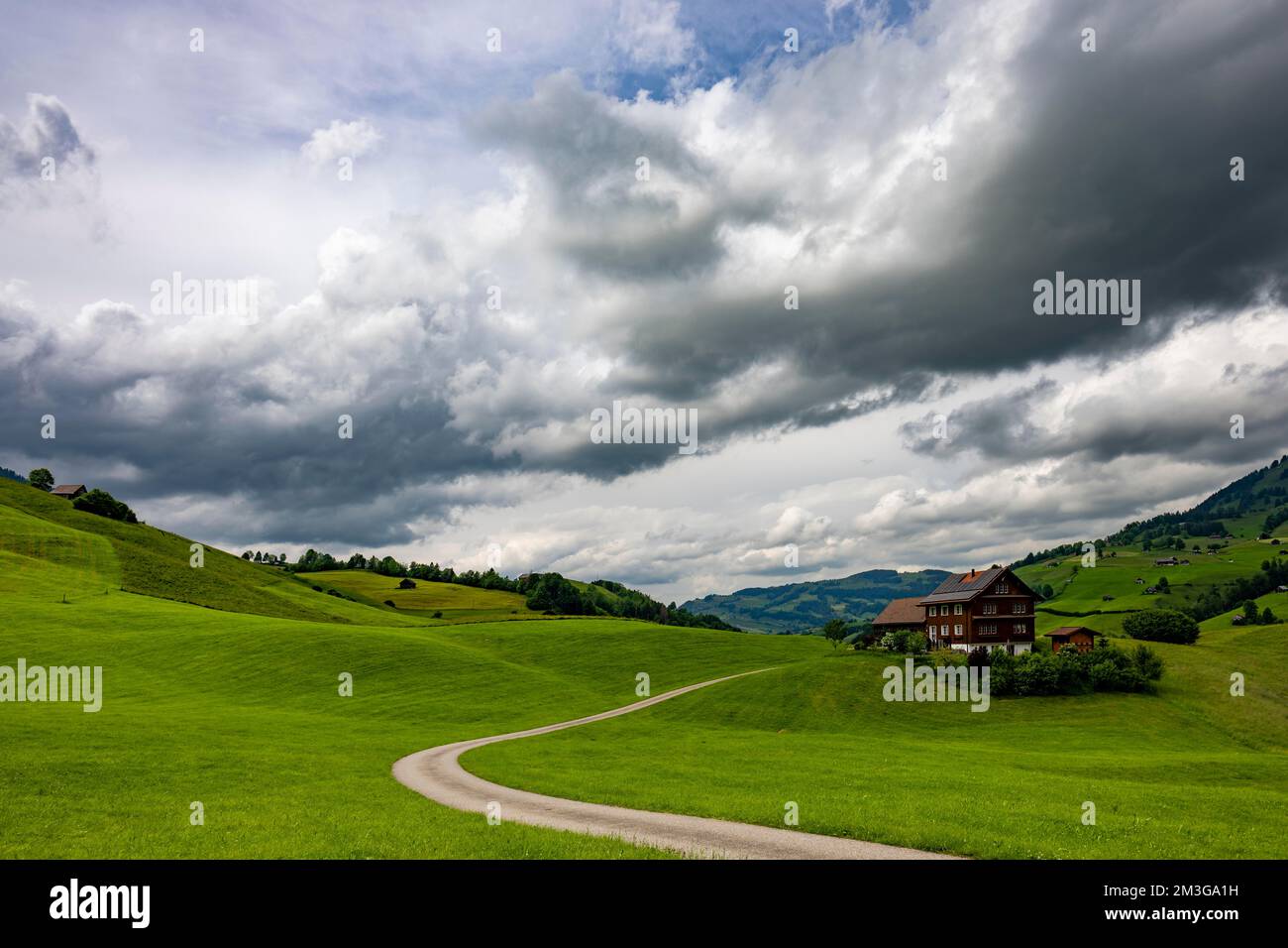 Farms in hilly landscape, Wildhaus, Appenzell, Switzerland Stock Photo ...